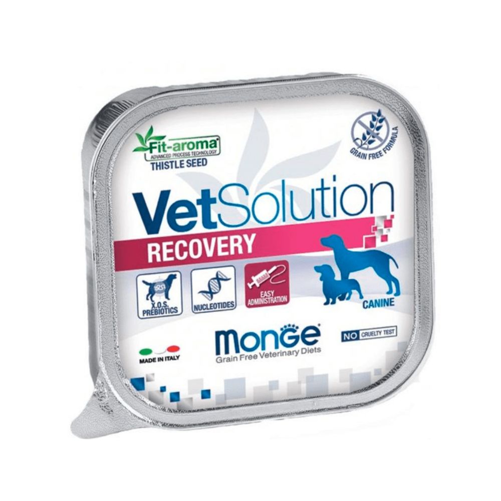 Monge Vet Solution Canine Recovery (150gr) - Lolas Food